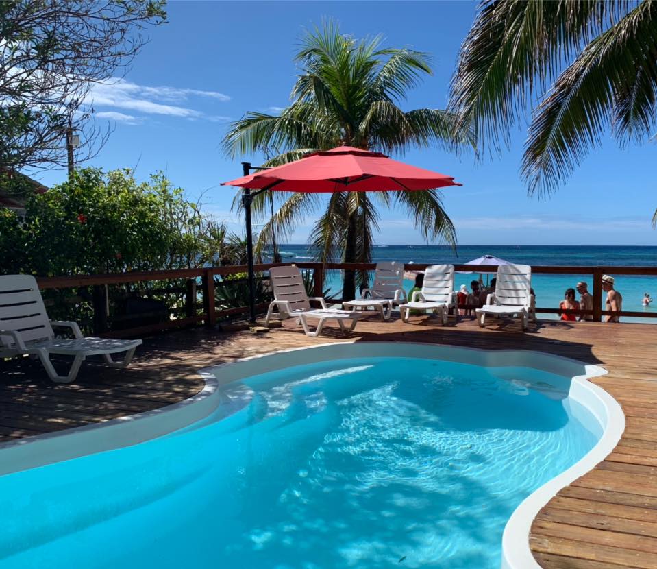 Contact Coconut Tree Cabins - Affordable Roatan Hotels